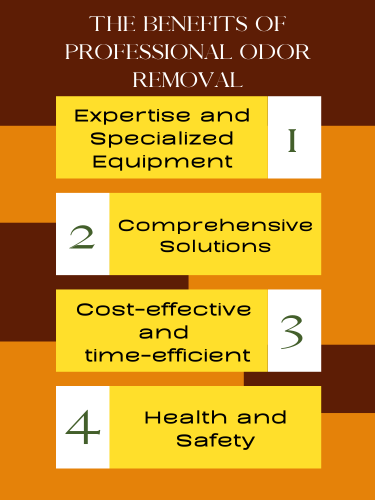 Expert Residential Odor Removal Services Los Angeles